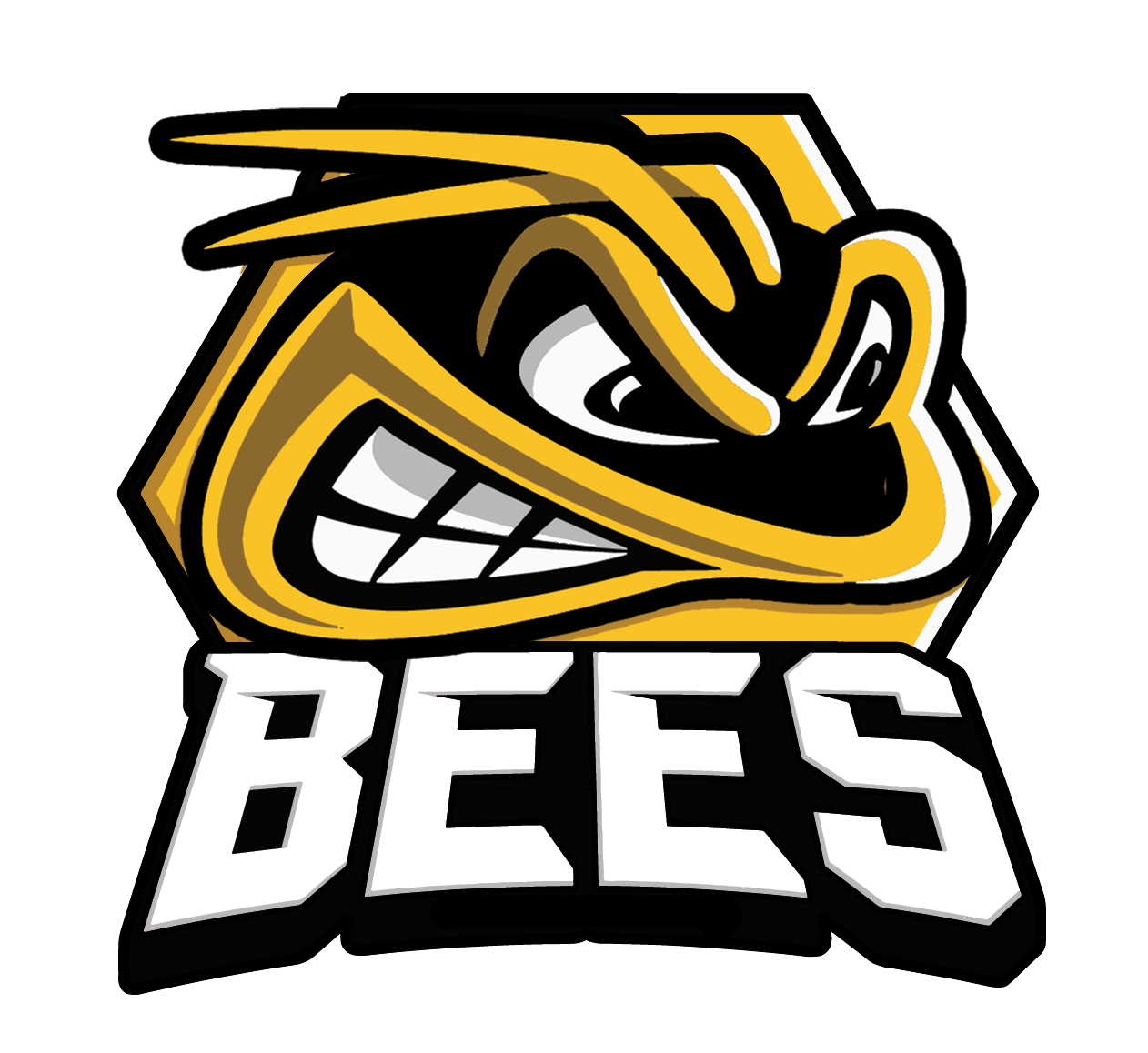 TSI World – We just make I.T work!